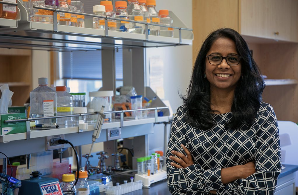 Swetha Murthy earns prestigious New Innovator Award | OHSU